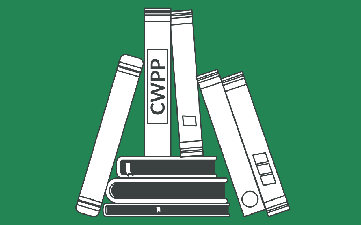 Cloud Security Term: Cloud Workload Protection Platform (CWPP)